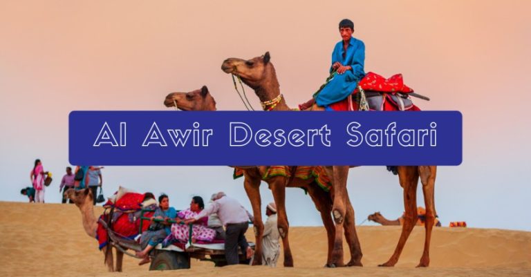 Experience Al Awir Desert Safari- Vigor Tourism LLC